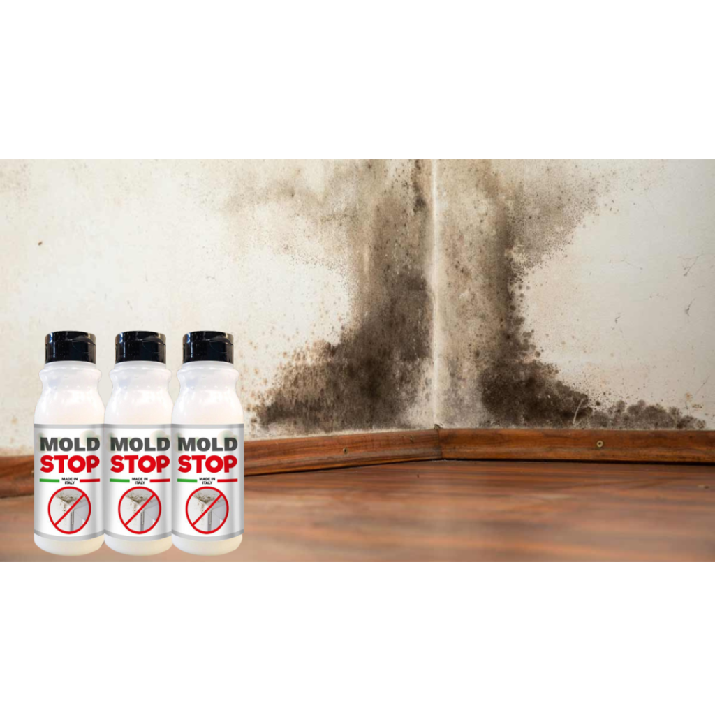 MOLD STOP – Make Offer 24