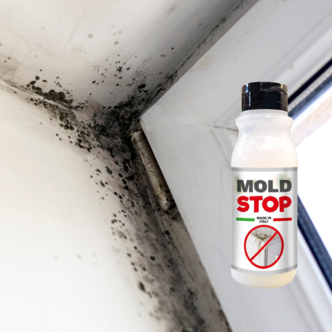 MOLD STOP – Make Offer 24